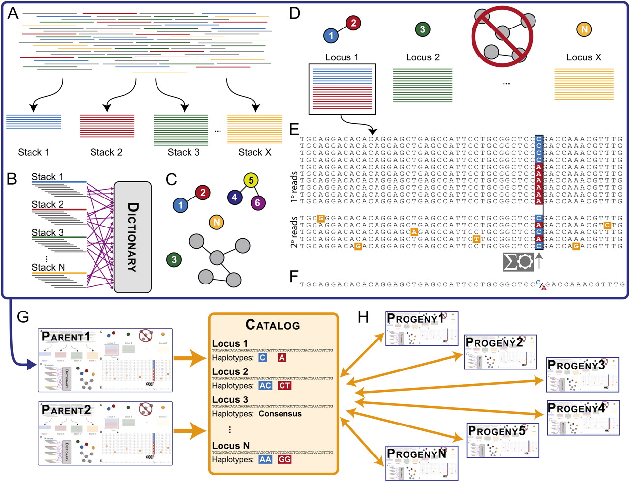 Next Generation Sequencing Schematic Next Generation Sequencing Schematic