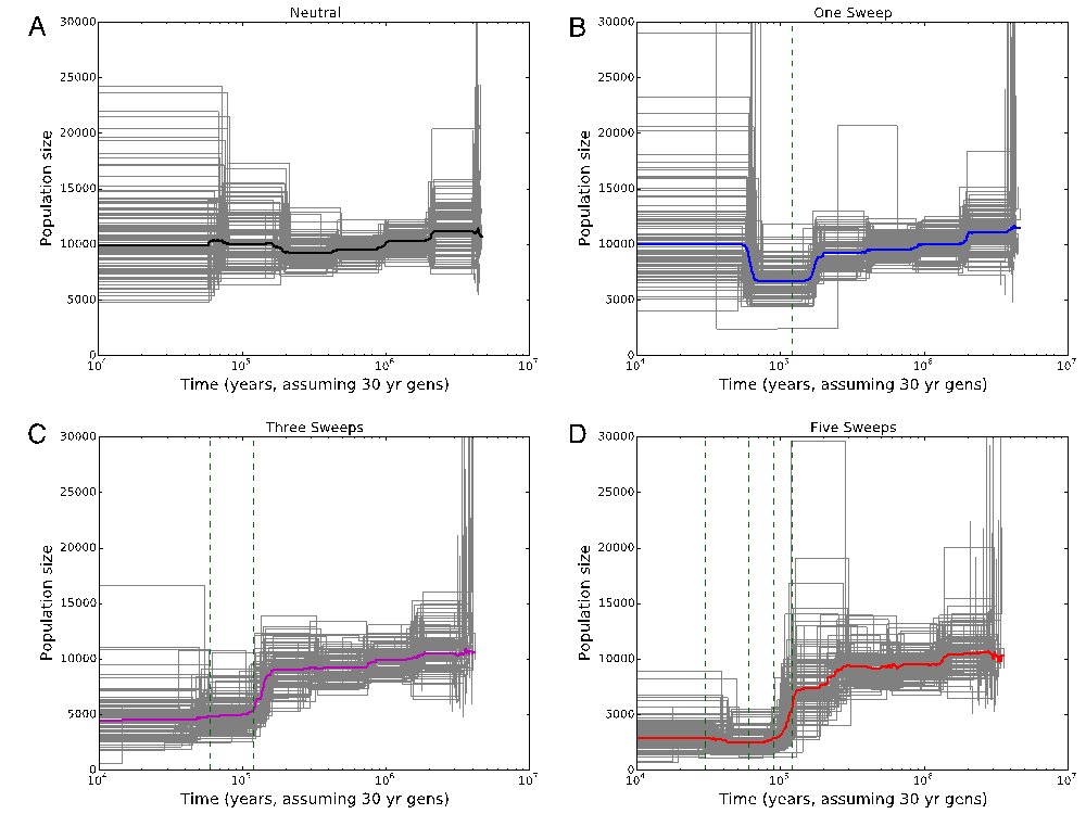 Sweeps And Demographic Inference