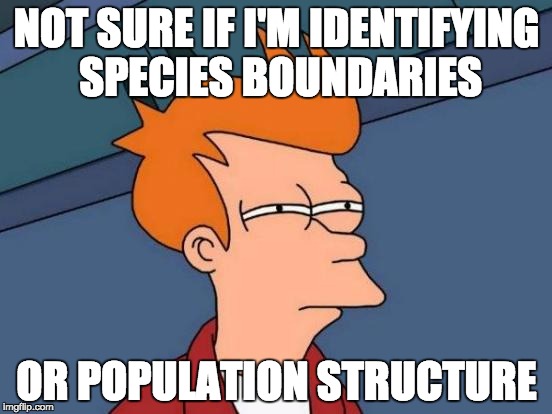 Data Structure Memes