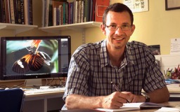 How Molecular Ecologists Work: Chris Jiggins on organic collaboration ...