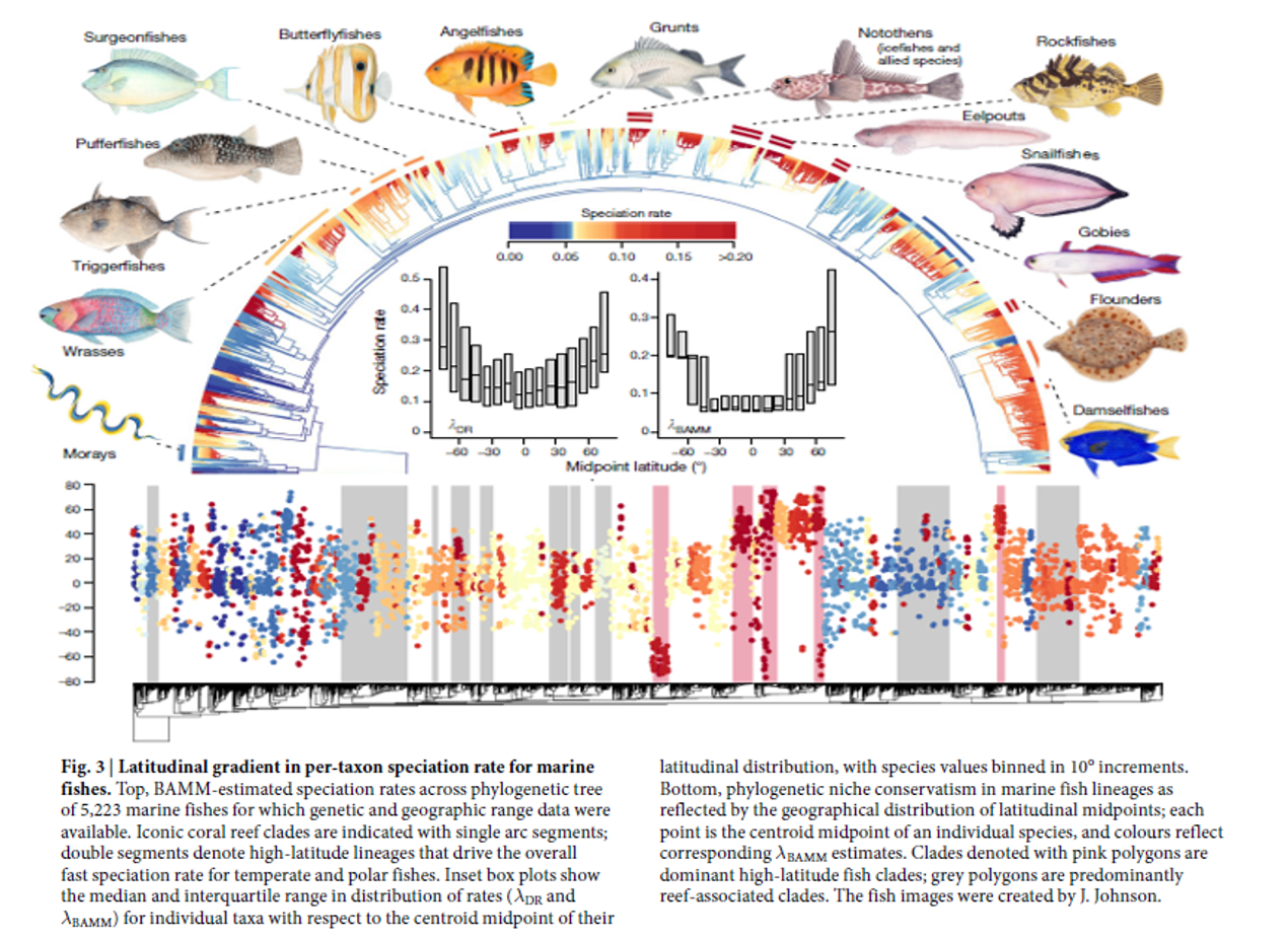 Big Data and Pretty Graphics Illustrate Surprising Global Trend in ...