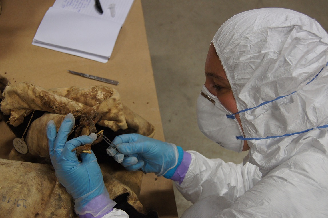 How Molecular Ecologists Work: Katerina Guschanski on running shoes and ...